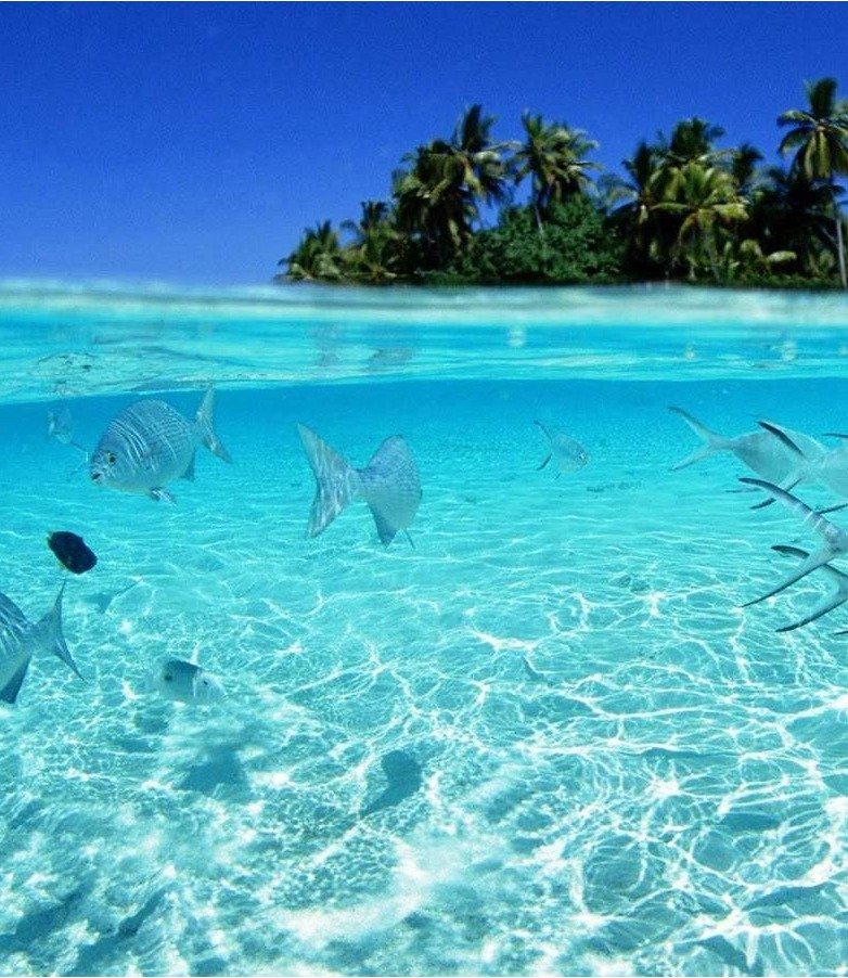 WWL#10 Flashcards | Memorang