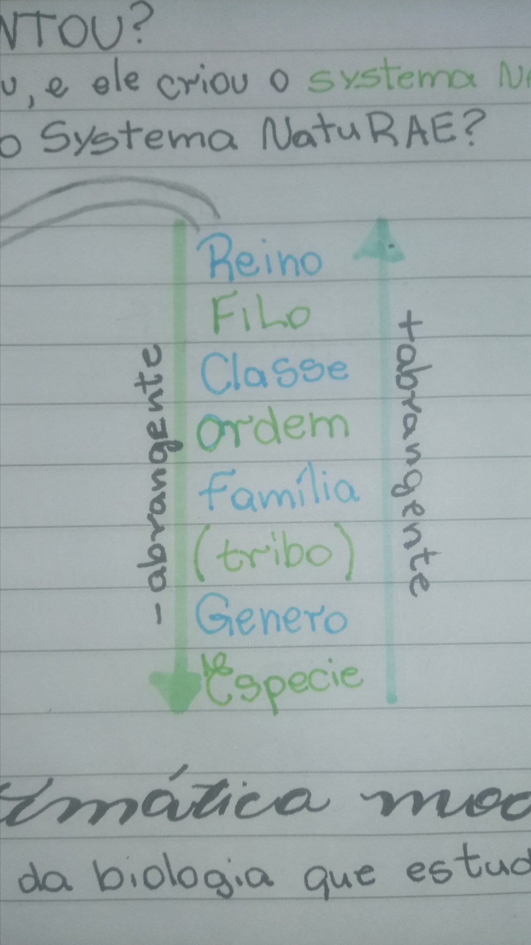 Sistemática Flashcards | Memorang