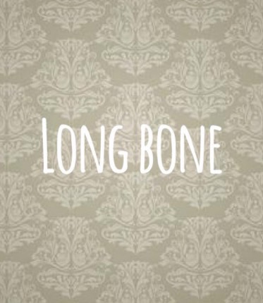 Bone Structure & Classification Flashcards | Memorang