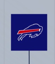 NFL teams Flashcards | Memorang