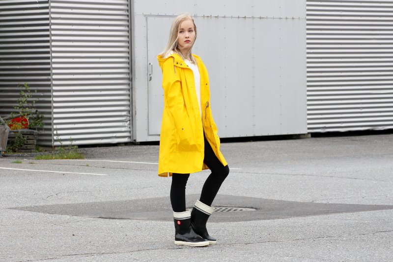 Turenki Hallonbåt 1-2 Dialog 5 Flashcards | Memorang