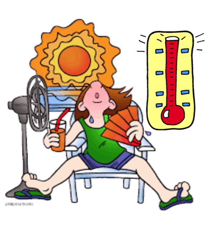 El tiempo y las estaciones para niños Flashcards | Memorang