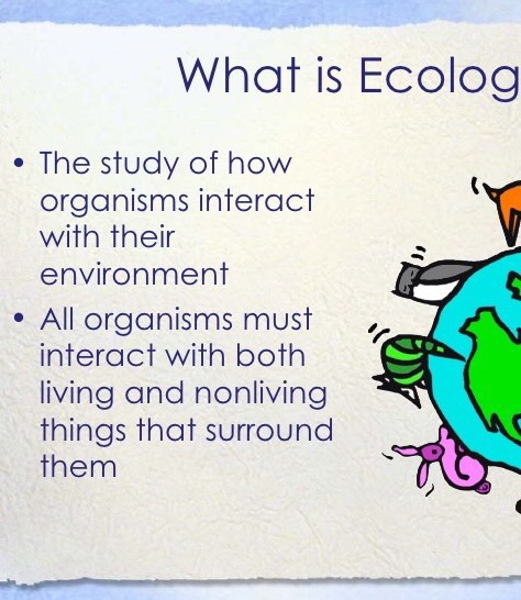 Ecology Flashcards | Memorang