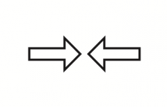 Section 6 Flashcards | Memorang